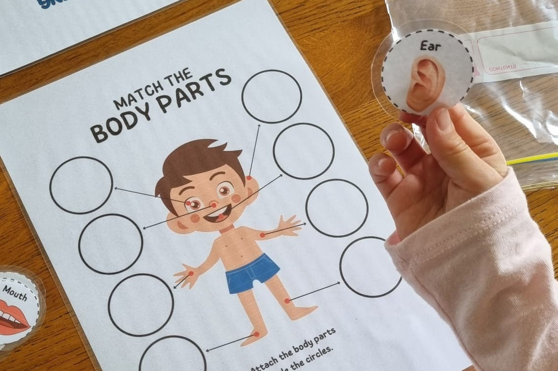 Kids Activity Parts of the Body Basic Body Parts Poster Toddler ...