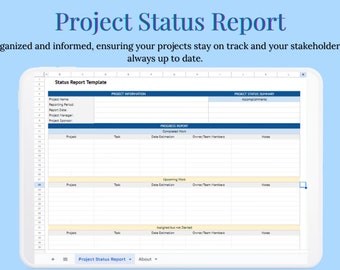 Manager Project Status Report: Team Management, Project Tracking and ...