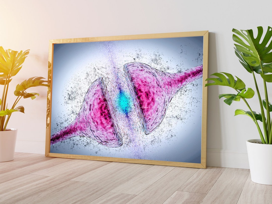 Synapse Receptor Brain Nerve Cell Science Art Neurology Medical Biology ...