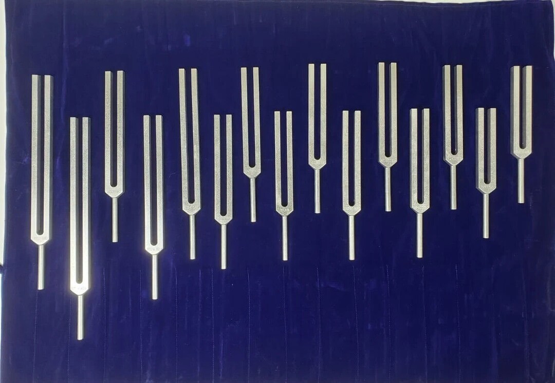 Human Organ Unweighted Silver Tuning Fork Set of 15 With Mallet and ...