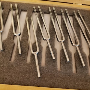Steel Tuning Fork Set Set of 13 Wooden Case, High-quality Nickel-plated ...