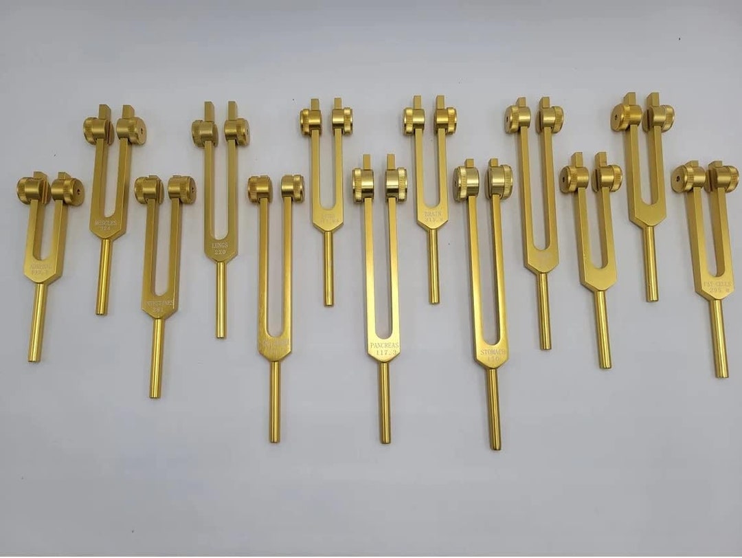15-piece Human Biology Set Weighted Gold Color Tuning Forks for ...