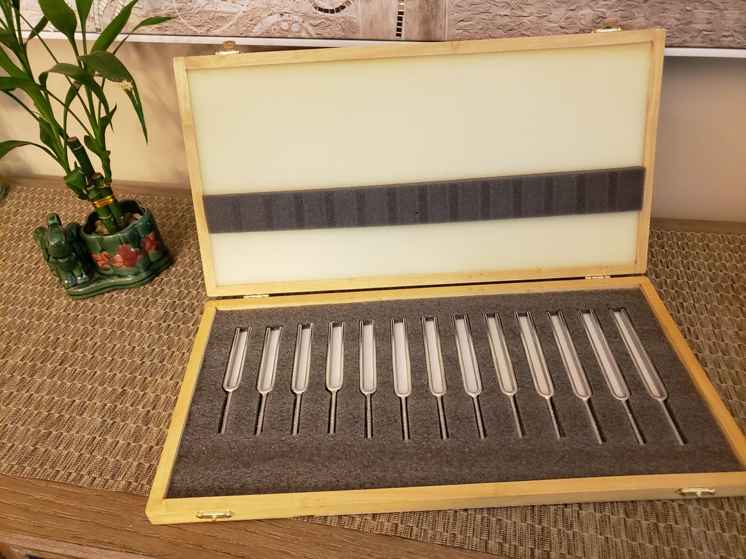 Steel Tuning Fork Set Set of 13 Wooden Case, High-quality Nickel-plated ...