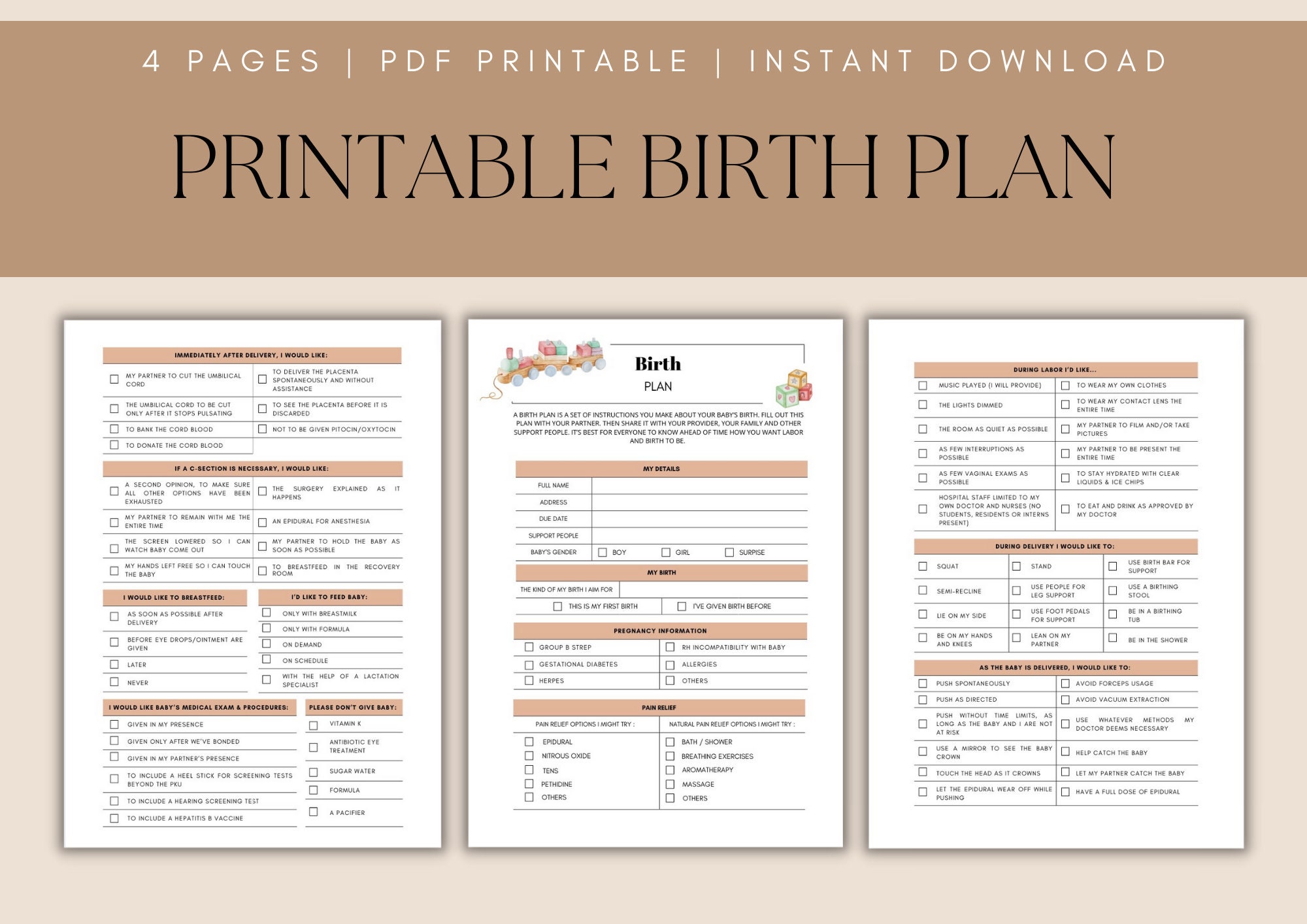 Birth Plan Template | Minimal | Mom Checklist | Birth Preference ...