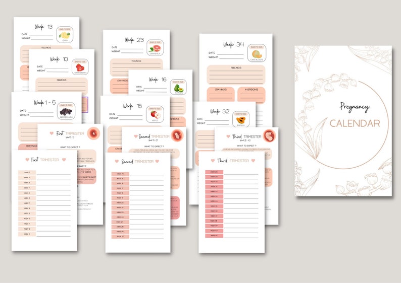 Pregnancy Planner Printable, Printable Pregnancy Journal, Pregnancy ...