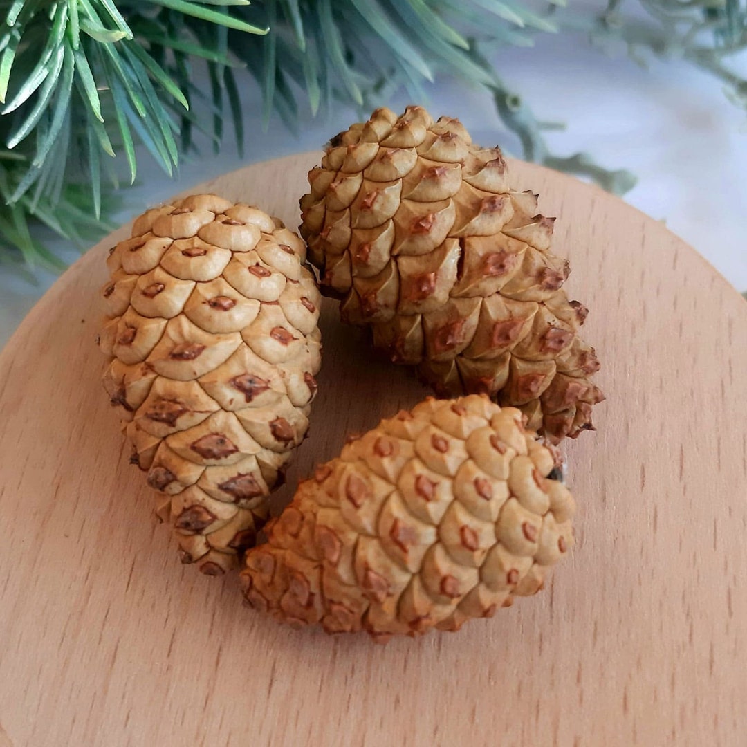 3D Mold Soap, Silicone Mold Small Bumps, Molds Soap, Soap Molds, - Etsy