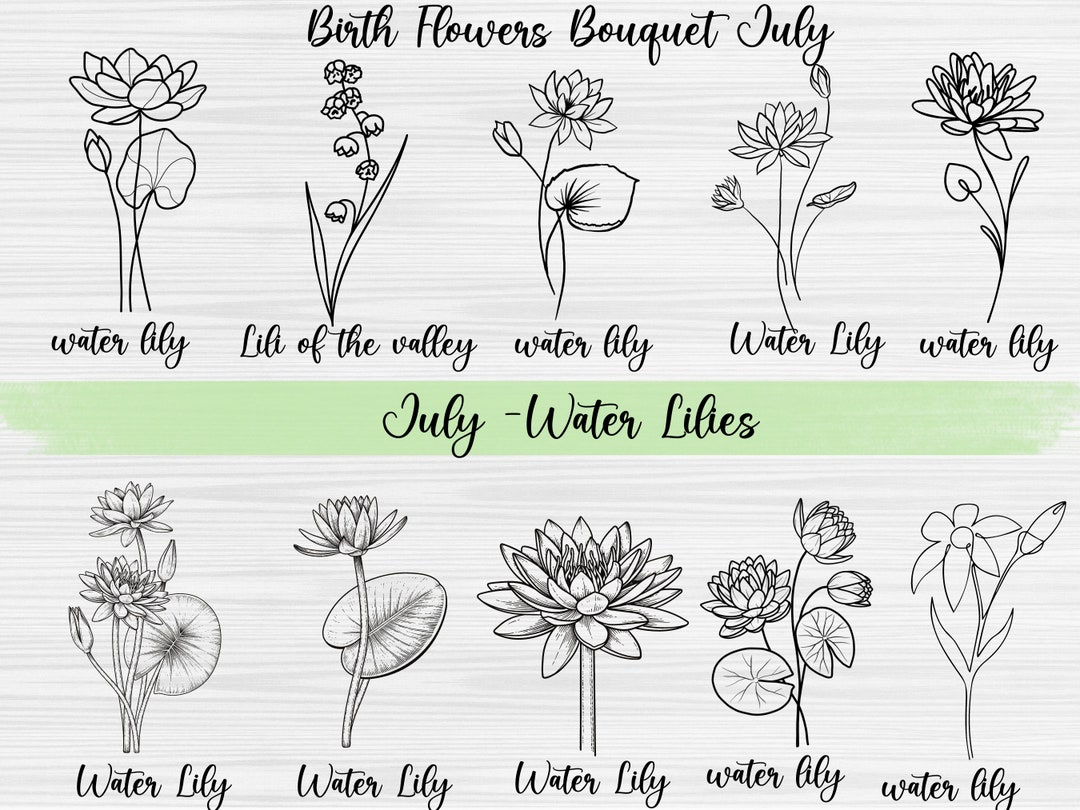 Birth Month July Flower Svg Water Lilly Png July Birth - Etsy