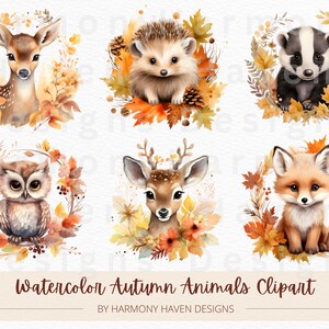 Watercolor Autumn Animals Clipart, 12 PNG Files,commercial Use,digital ...