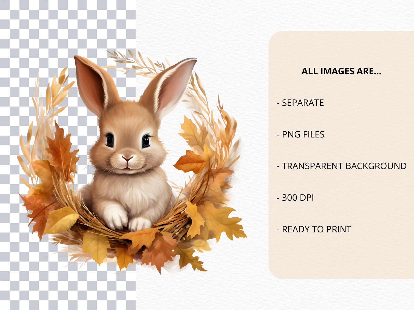 Watercolor Autumn Animals Clipart, 12 PNG Files,commercial Use,digital ...