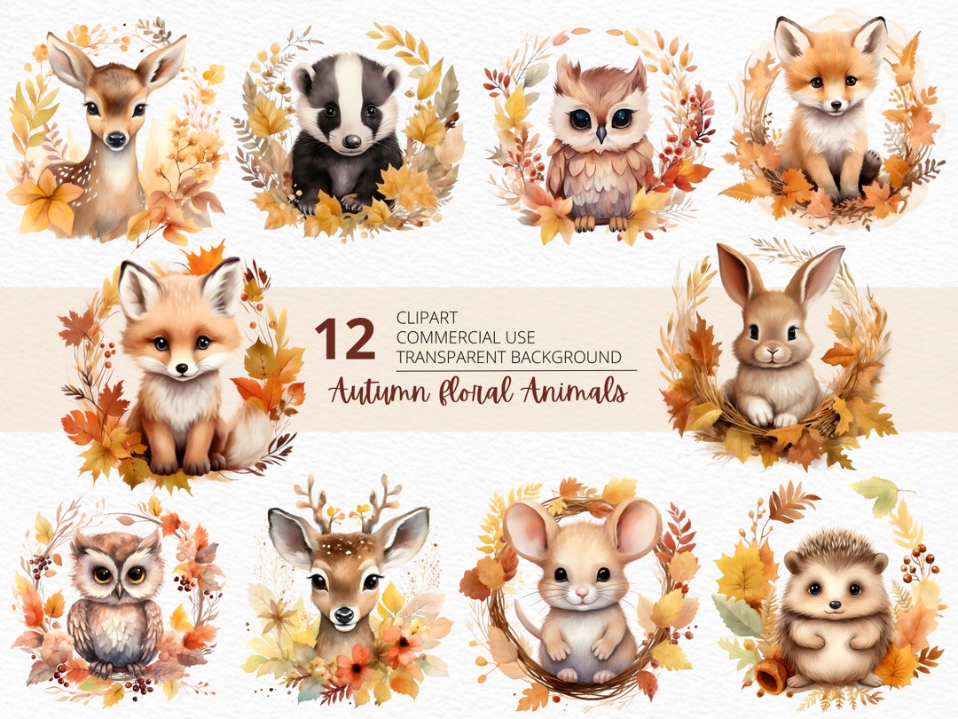 Watercolor Autumn Animals Clipart, 12 PNG Files,commercial Use,digital ...