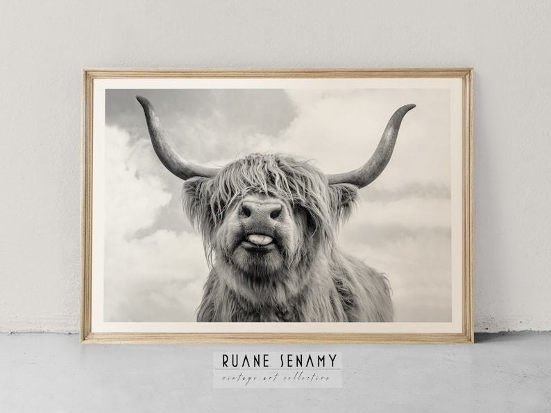 Highland Cow Wall Art Black and White Buffalo Print Scottish - Etsy
