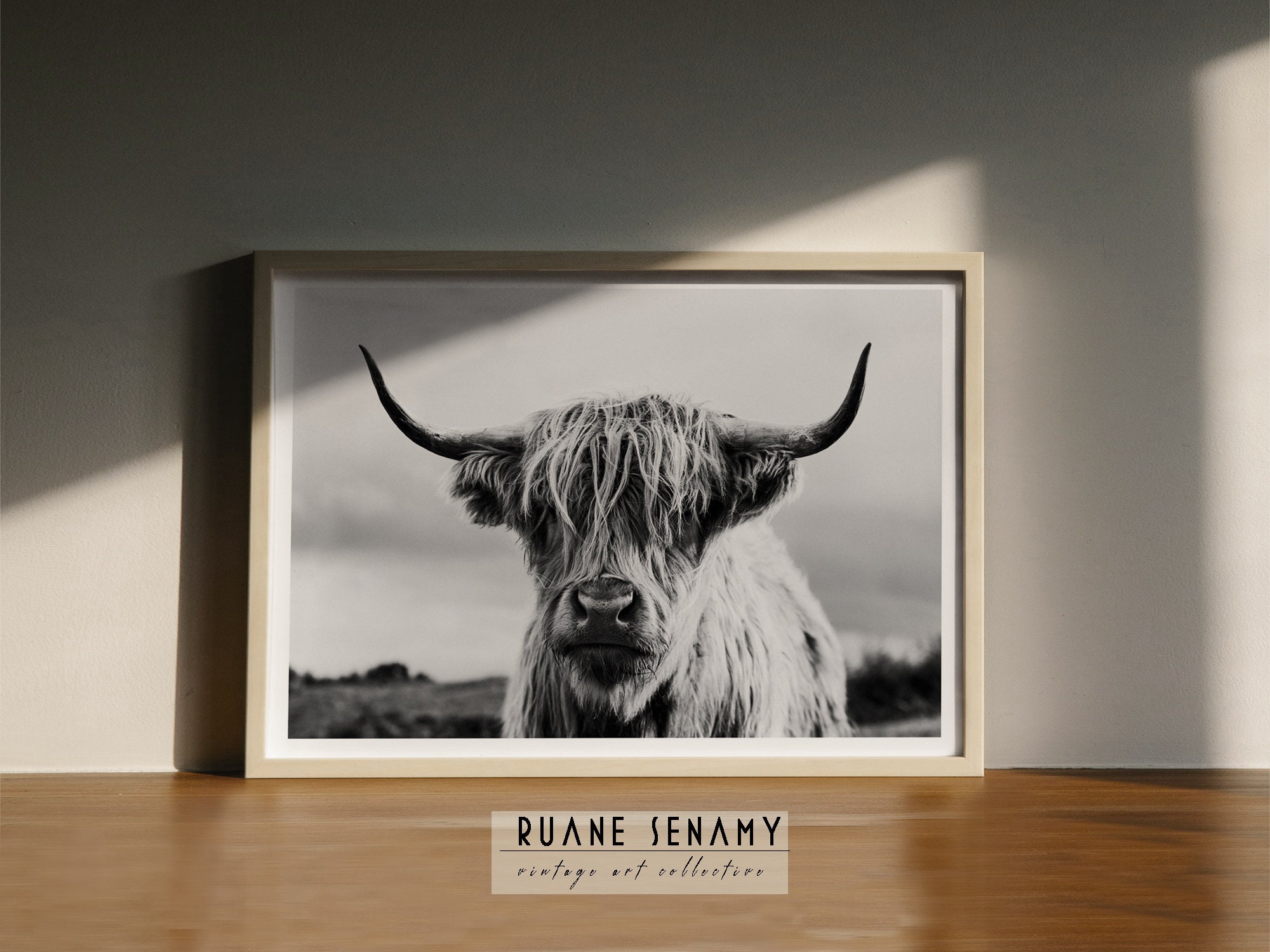 Highland Cow Art Prints, Farmhouse Gift, Highland Cow Poster, Wall ...