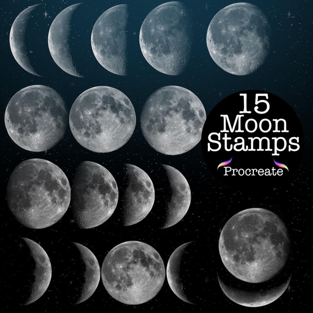 Procreate Brushes Stamps Realistic Moon Phases Moons Celestial Digital Download Instant Stamp ...