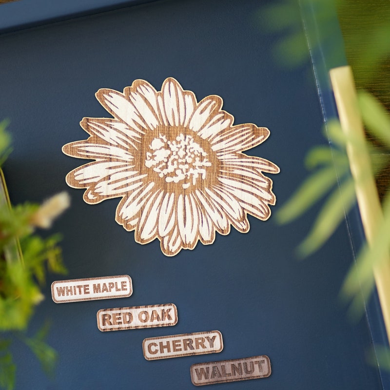 Eco Friendly Sticker - Etsy