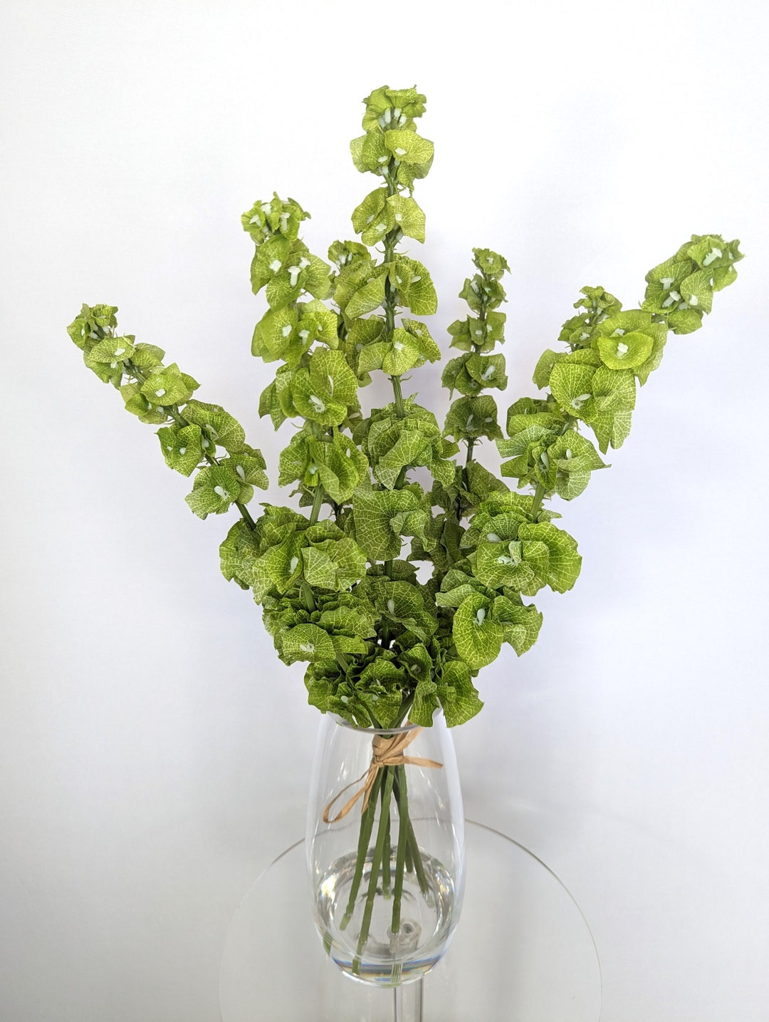 Bells of Ireland in Glass Vase, Acrylic Water Designs, Minimalist Silk ...