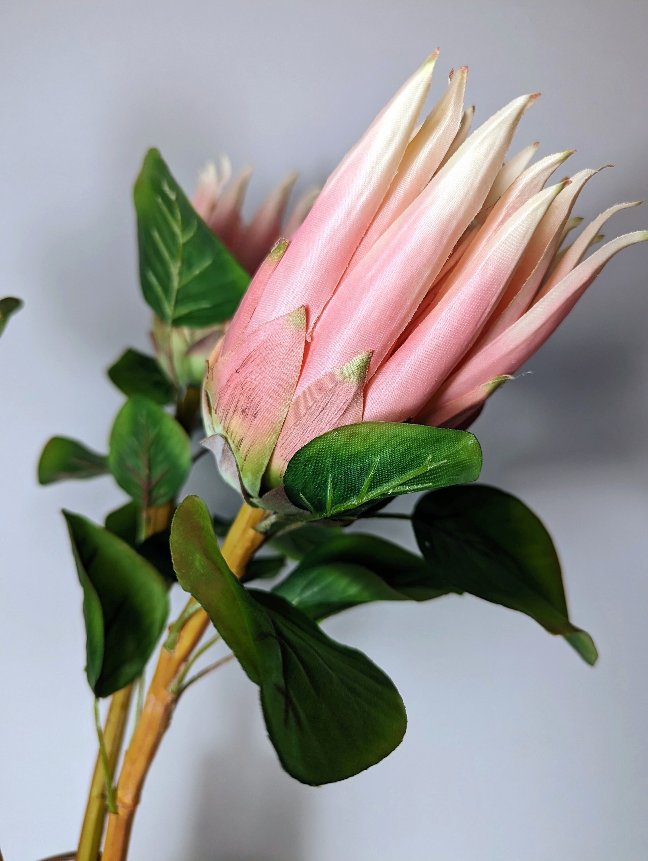 Faux King Protea Stem in Pink, Set of 3 Proteas, Large Size, DIY Floral ...