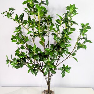 Real Touch Ficus Stems, Artificial Greenery in Faux Water Arrangement ...