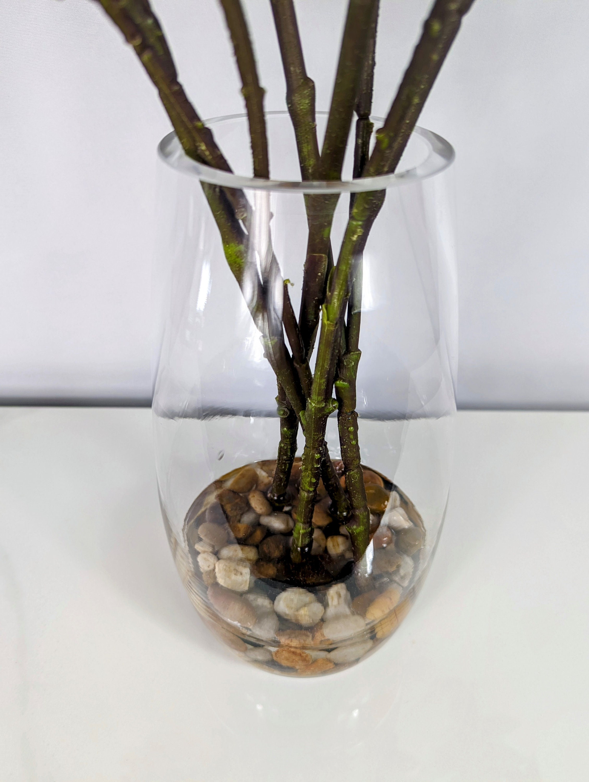 Real Touch Ficus Stems, Artificial Greenery in Faux Water Arrangement ...