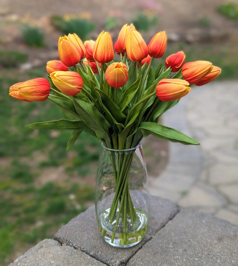 Orange Tulip Real Touch Flowers in Faux Water 19 Tulip - Etsy