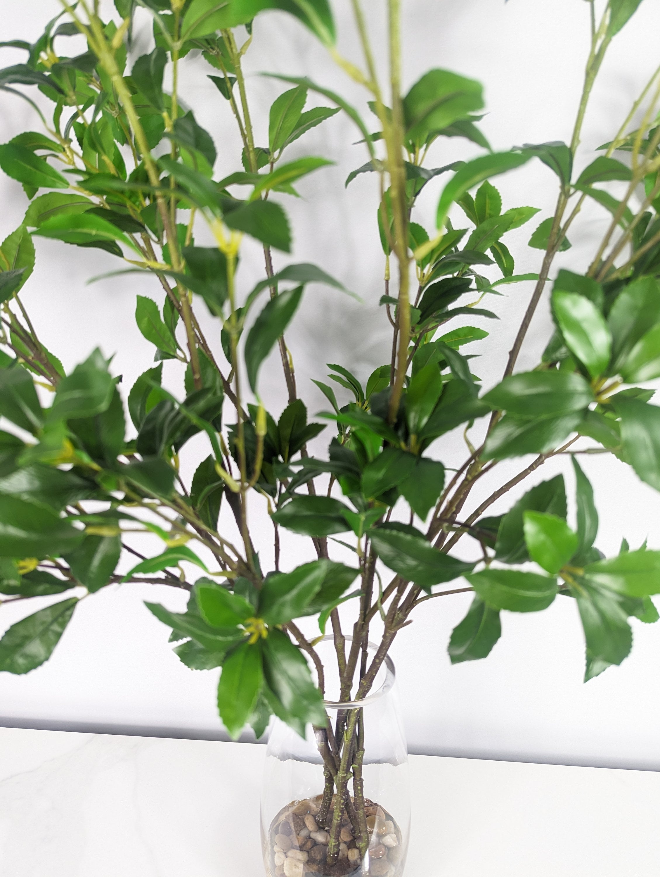Real Touch Ficus Stems, Artificial Greenery in Faux Water Arrangement ...