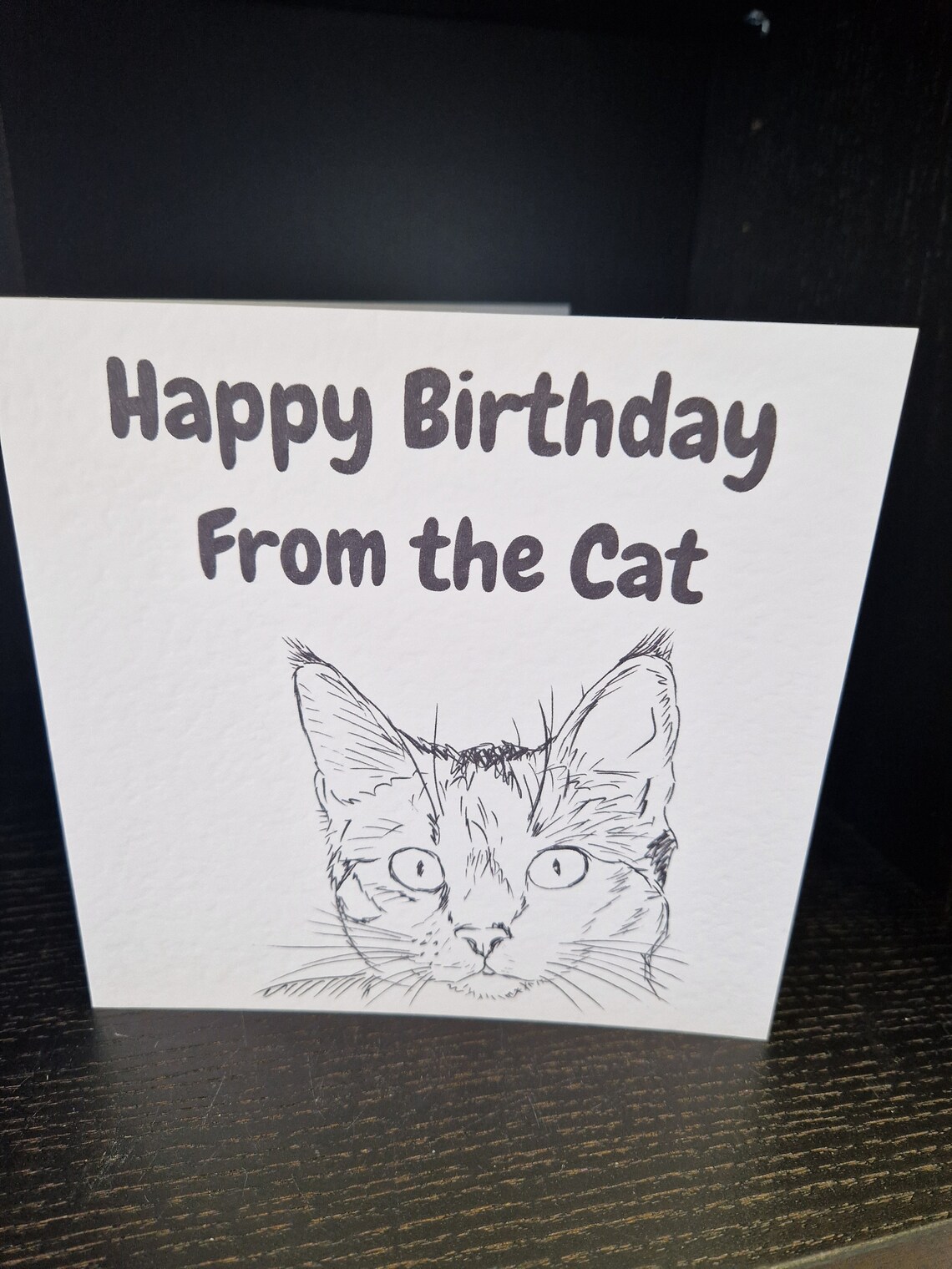 Happy Birthday From the Cat Cat Lover-happy Birthday Cat Lady Crazy Cat ...