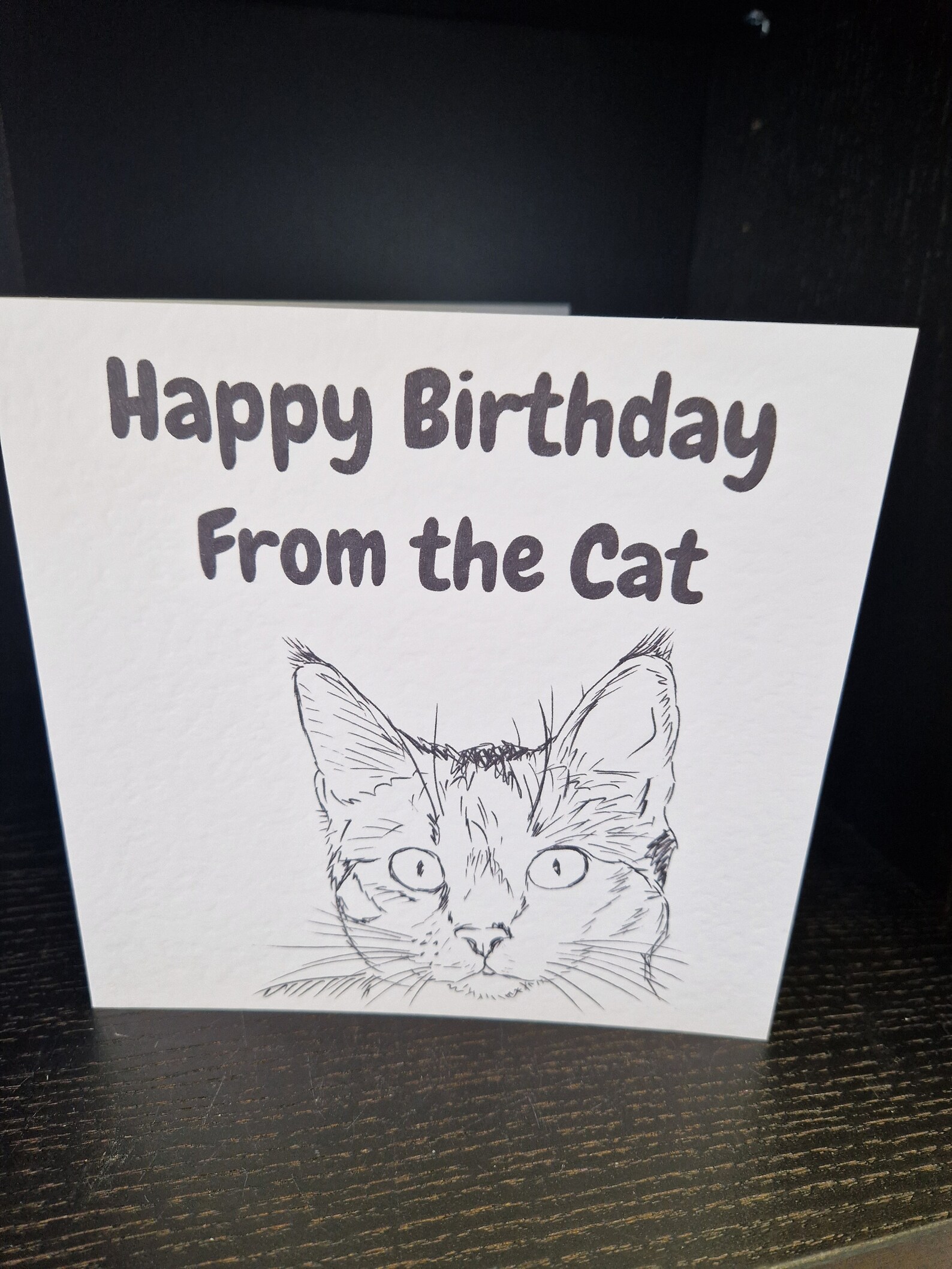 Happy Birthday From the Cat Cat Lover-happy Birthday Cat Lady Crazy Cat ...