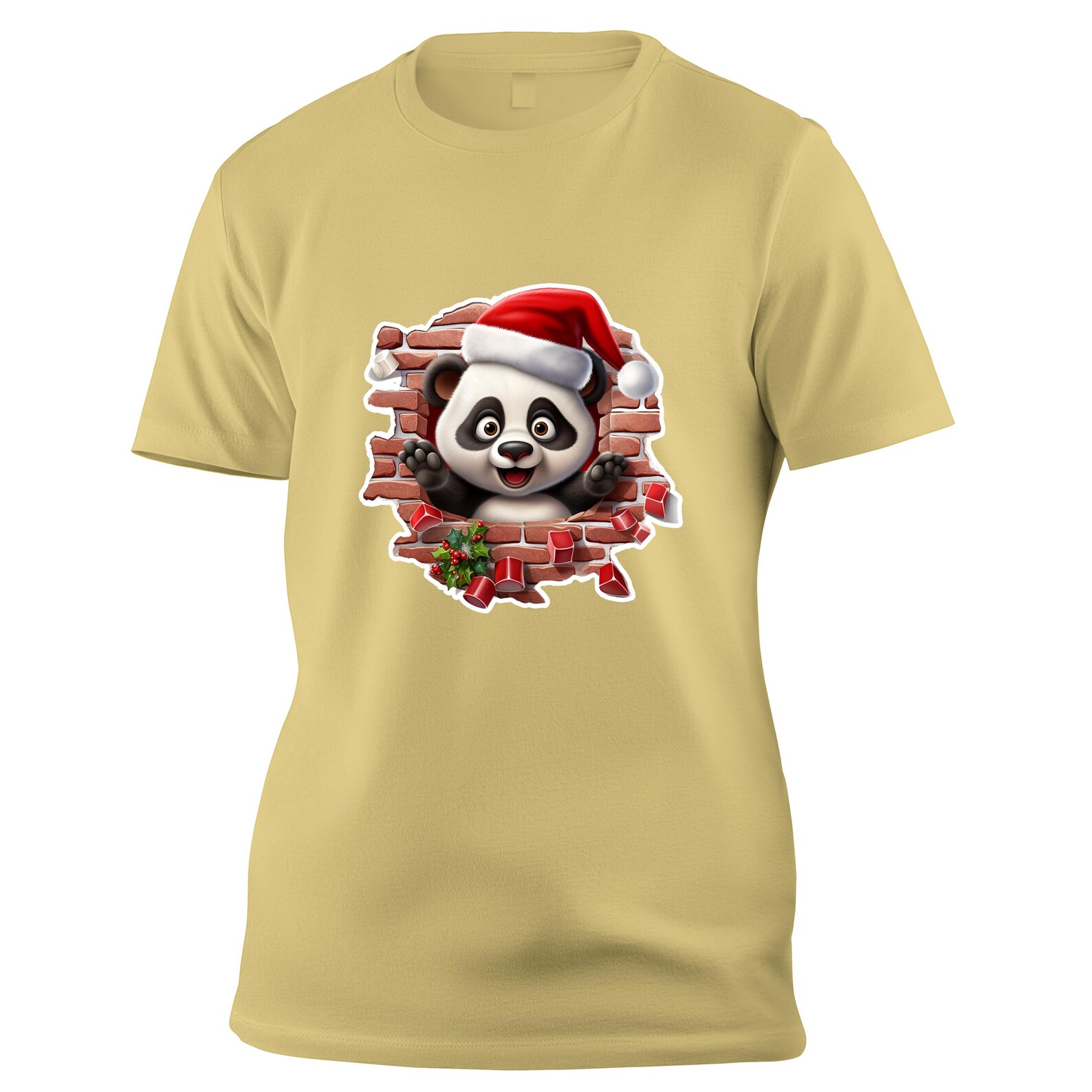 Panda Claus, Santa Animal, Christmas Design, Holiday Art, Christmas ...