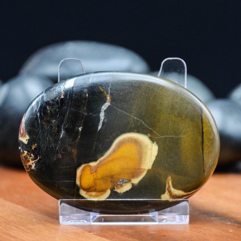 Rare Mara Mamba Tiger Palm Stone - Etsy