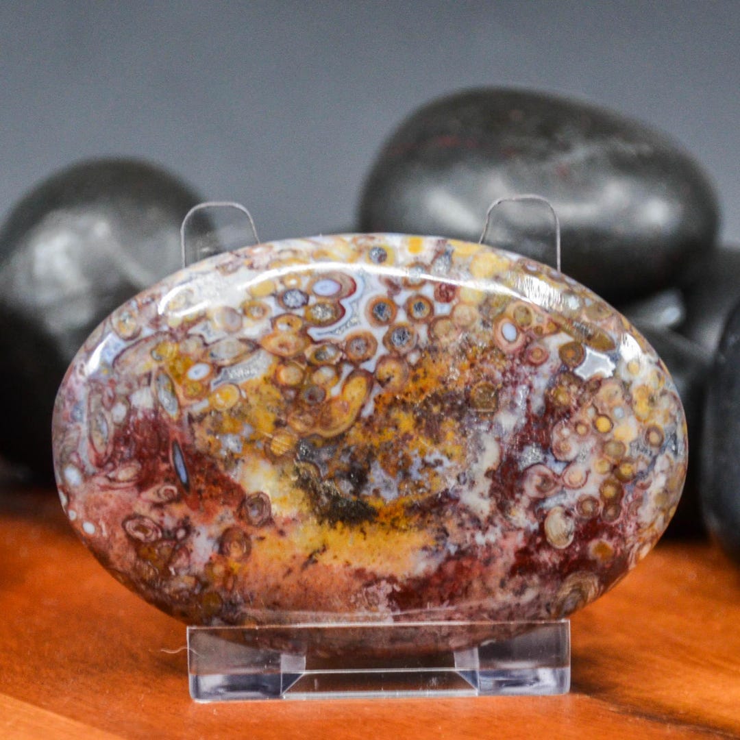 Red Palm Root Agate Palm Stone - Etsy