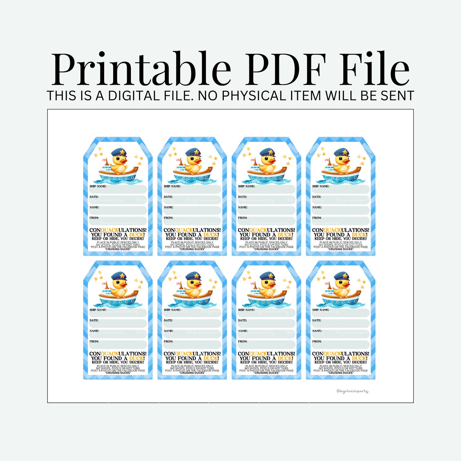 Cruising Duck Tags Fillable, Printable, Reusable PDF Cruise Duck Tags ...