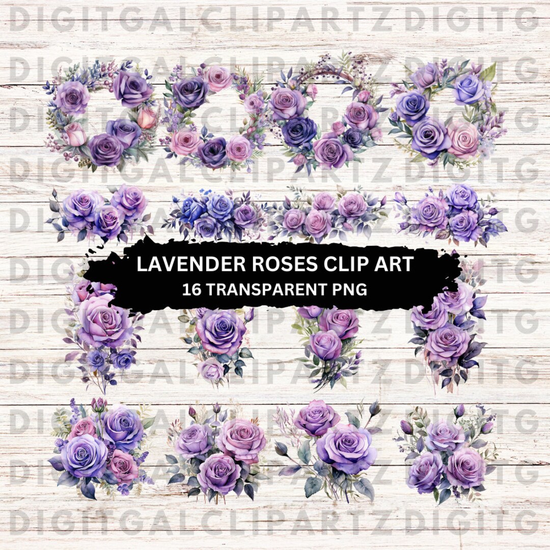 Watercolor Lavender Roses - 16 Transparent PNG Files-digital Download ...