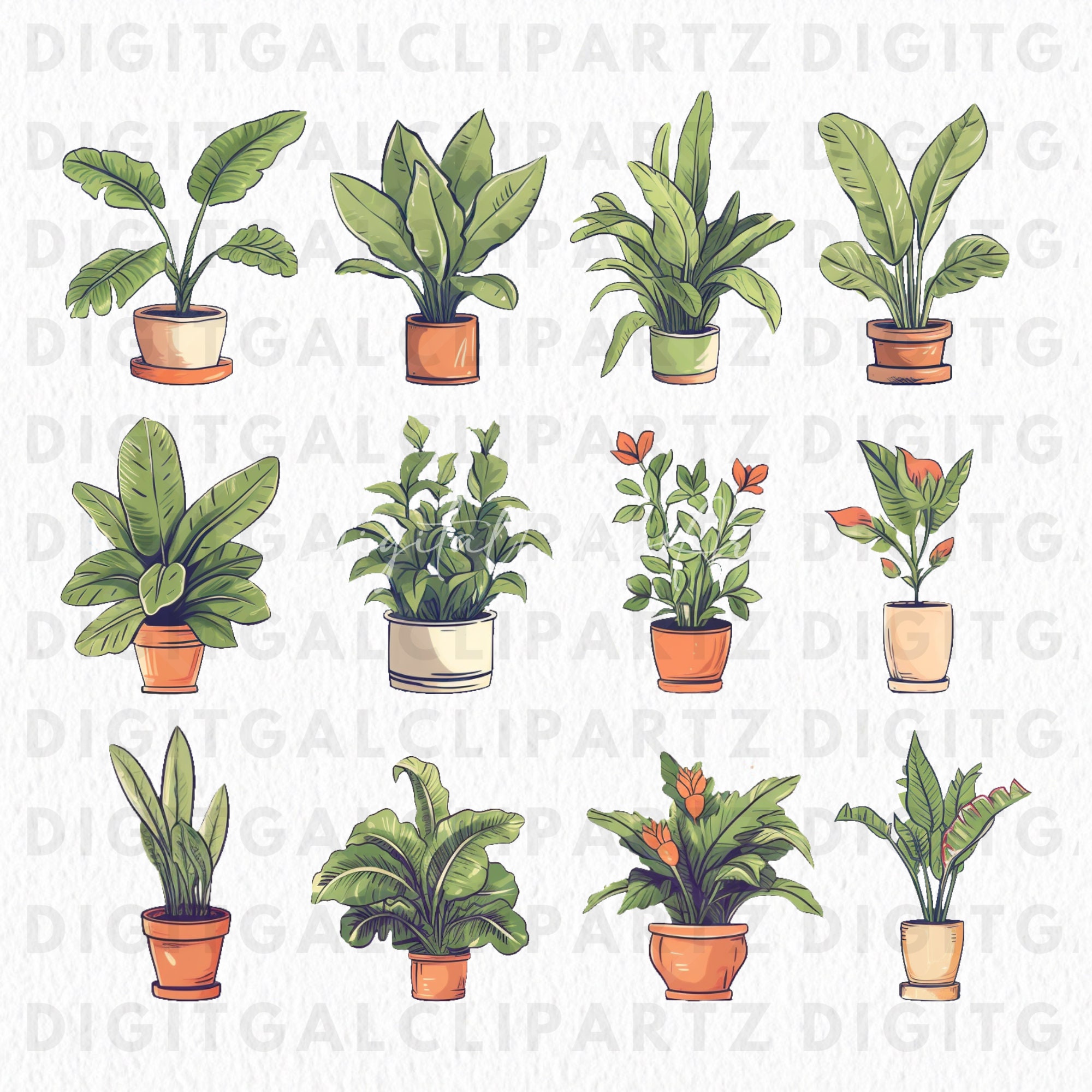 House Plant Clip Art - 12 Transparent PNG Files-digital Download ...