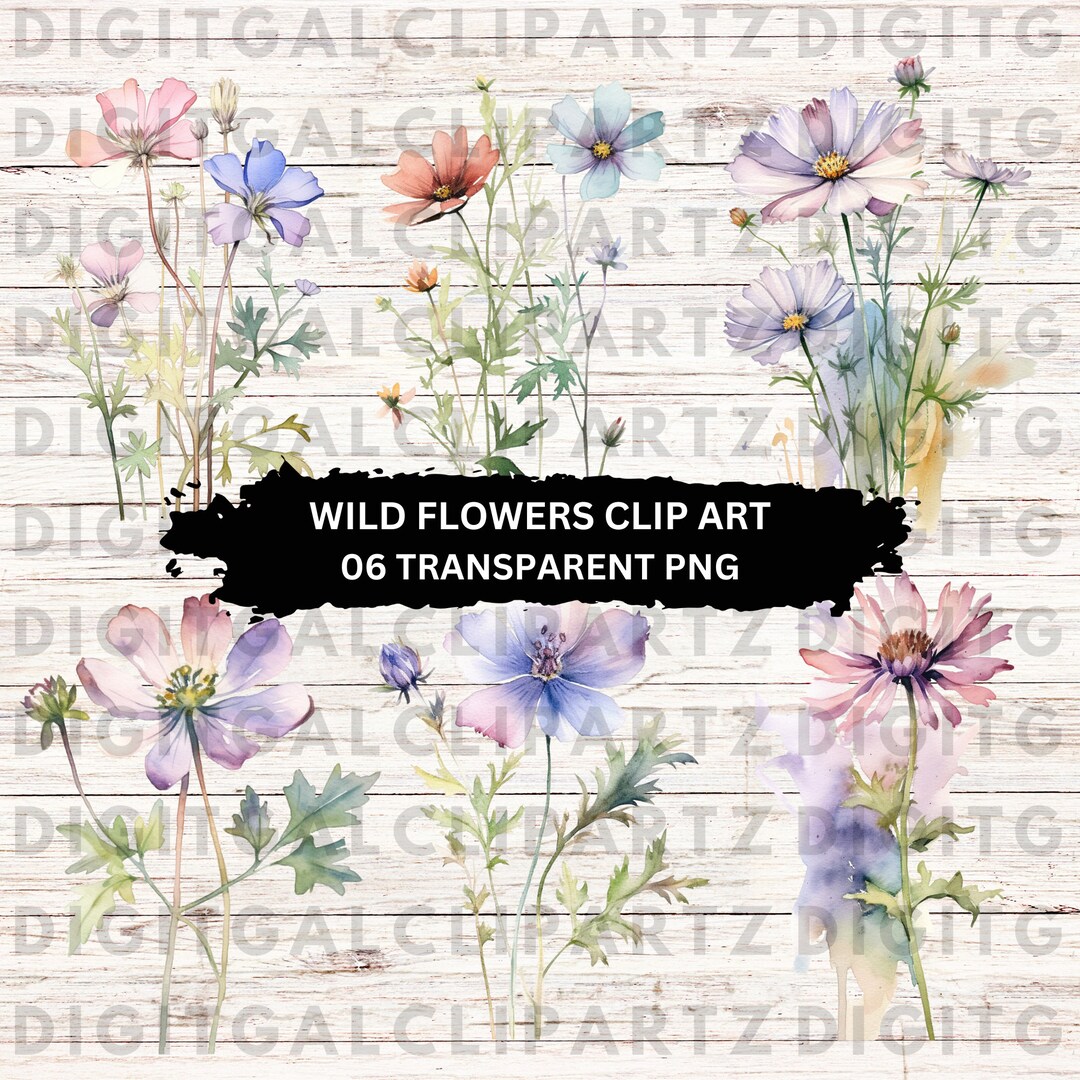 Watercolor Wild Flowers Clip Art 06 Transparent PNG Files Digital ...