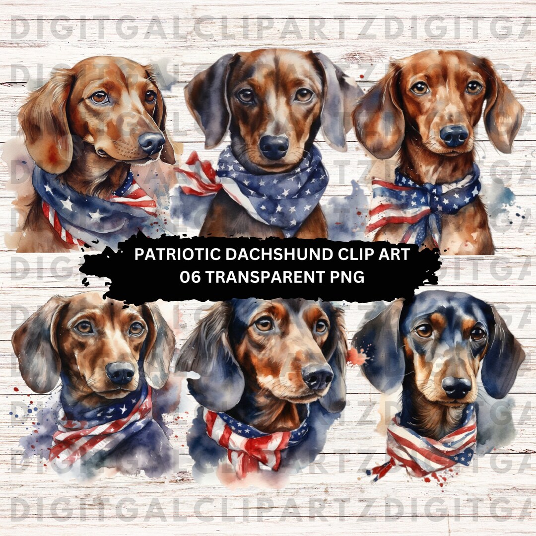 Watercolor Patriotic Dachshund Clip Art- 06 Transparent PNG Files ...