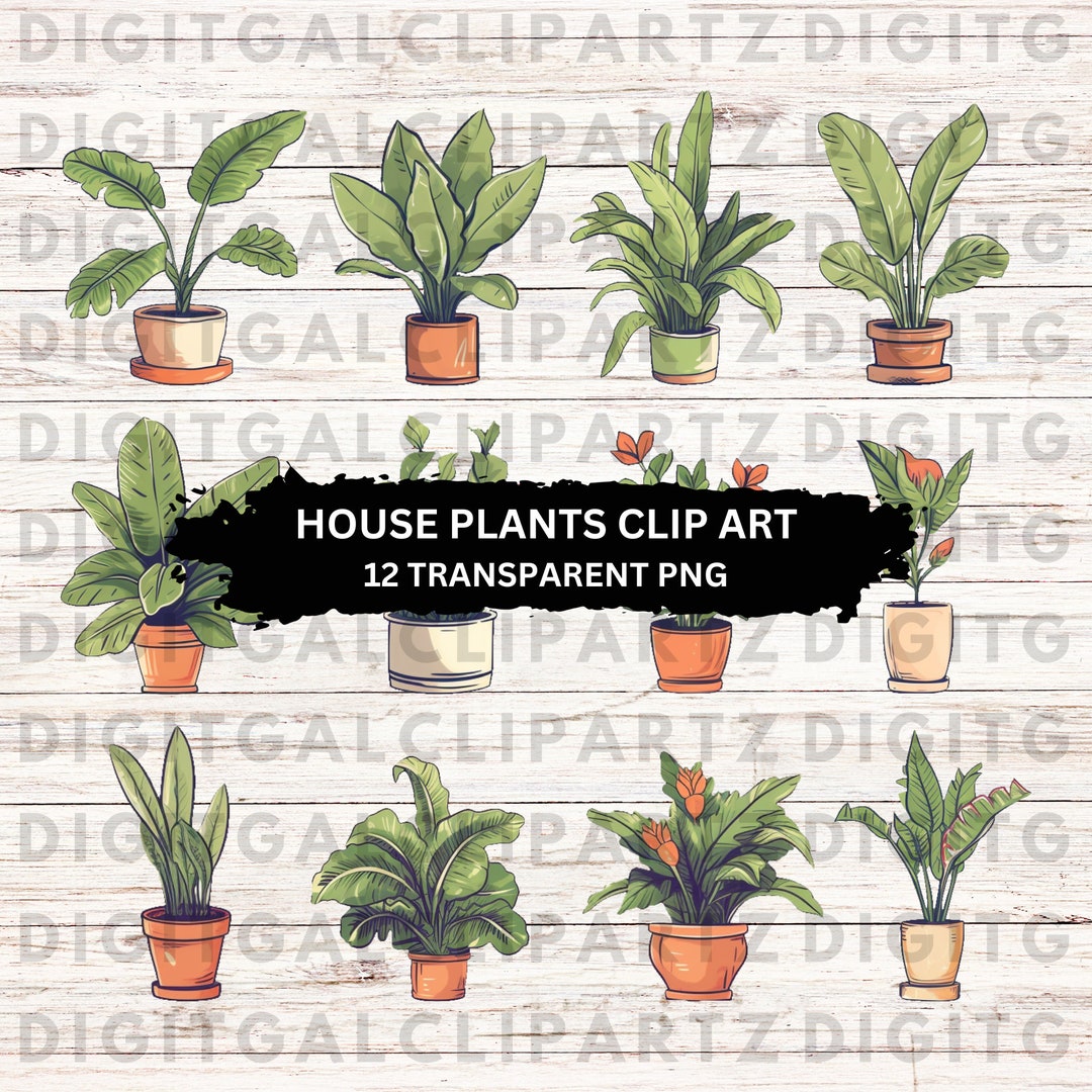 House Plant Clip Art 12 Transparent PNG Files-digital Download Journal ...