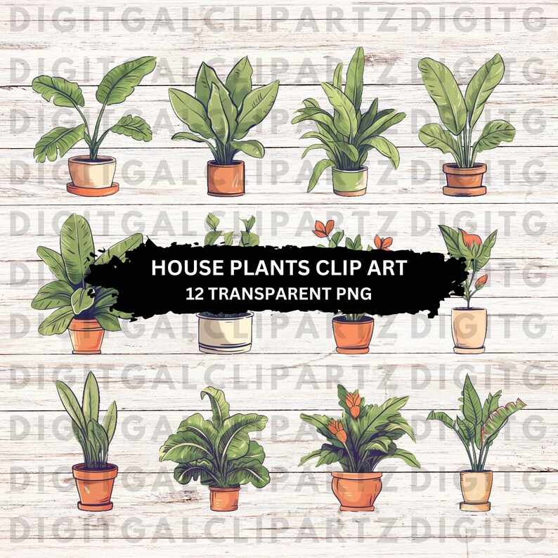 House Plant Clip Art - 12 Transparent PNG Files-digital Download ...