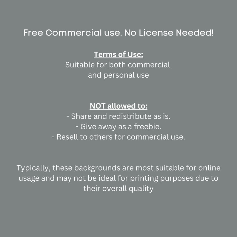 Seashell Newborn Digital Backdrops, Digital Photography Backdrop ...