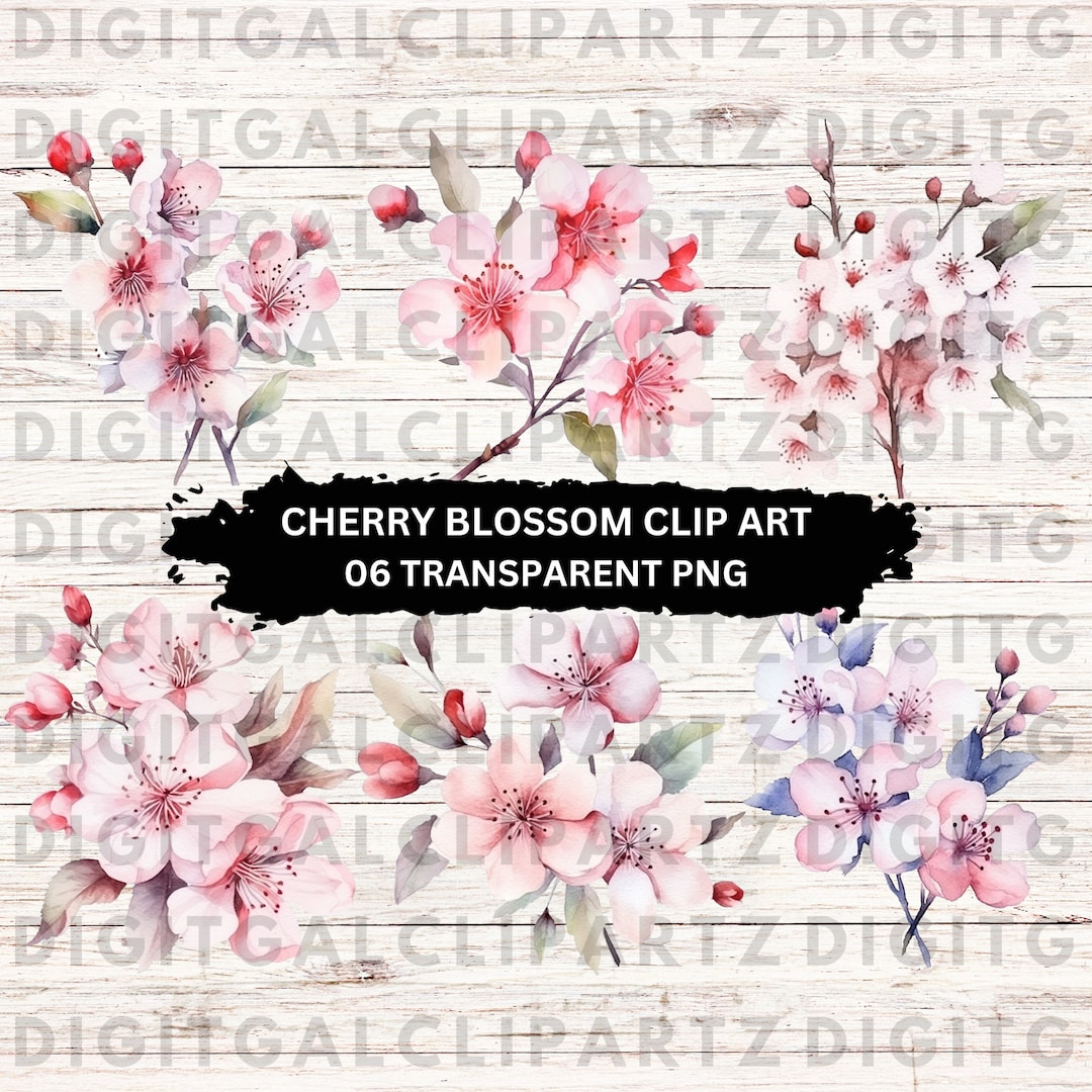 Watercolor Cherry Blossom Clip Art 06 Transparent PNG Files Digital ...