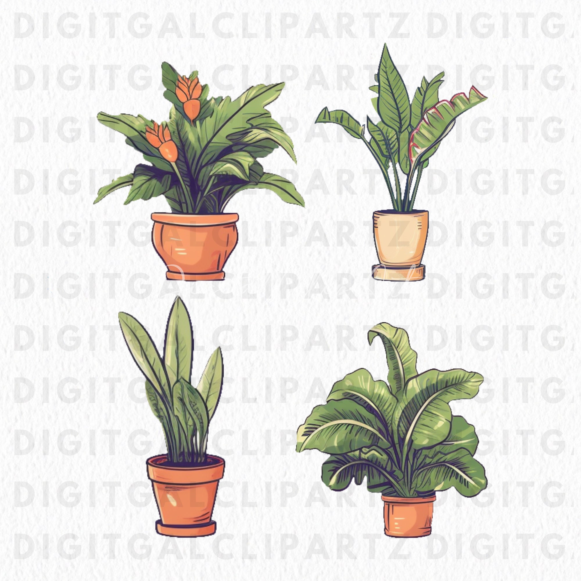 House Plant Clip Art 12 Transparent PNG Files-digital Download Journal ...