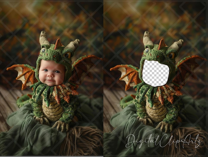 Dragon Baby Newborn Digital Backdrop, Face Insert, Digital Photography ...