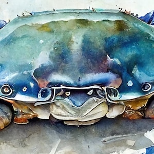 Coastal Wall Art, Nautical, Blue Crab Watercolor, Marine Life ...