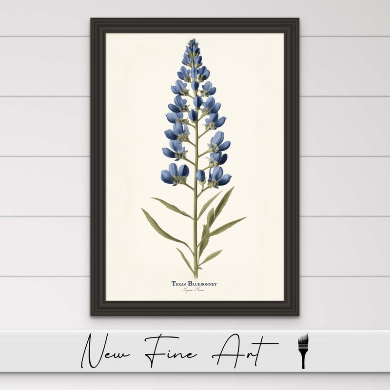 Bluebonnet Botanical Prints - Etsy