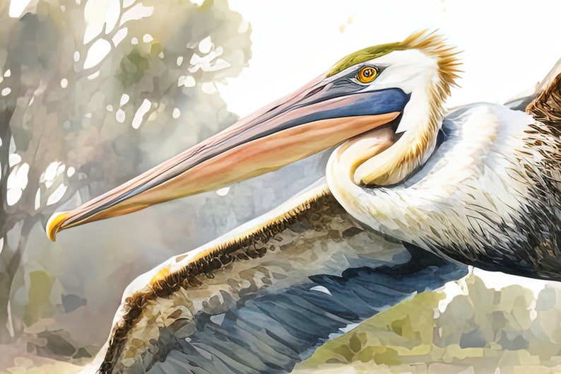 Watercolor, Pelican, Coastal Art, Bayou, Louisiana Wall Art, Coastal ...