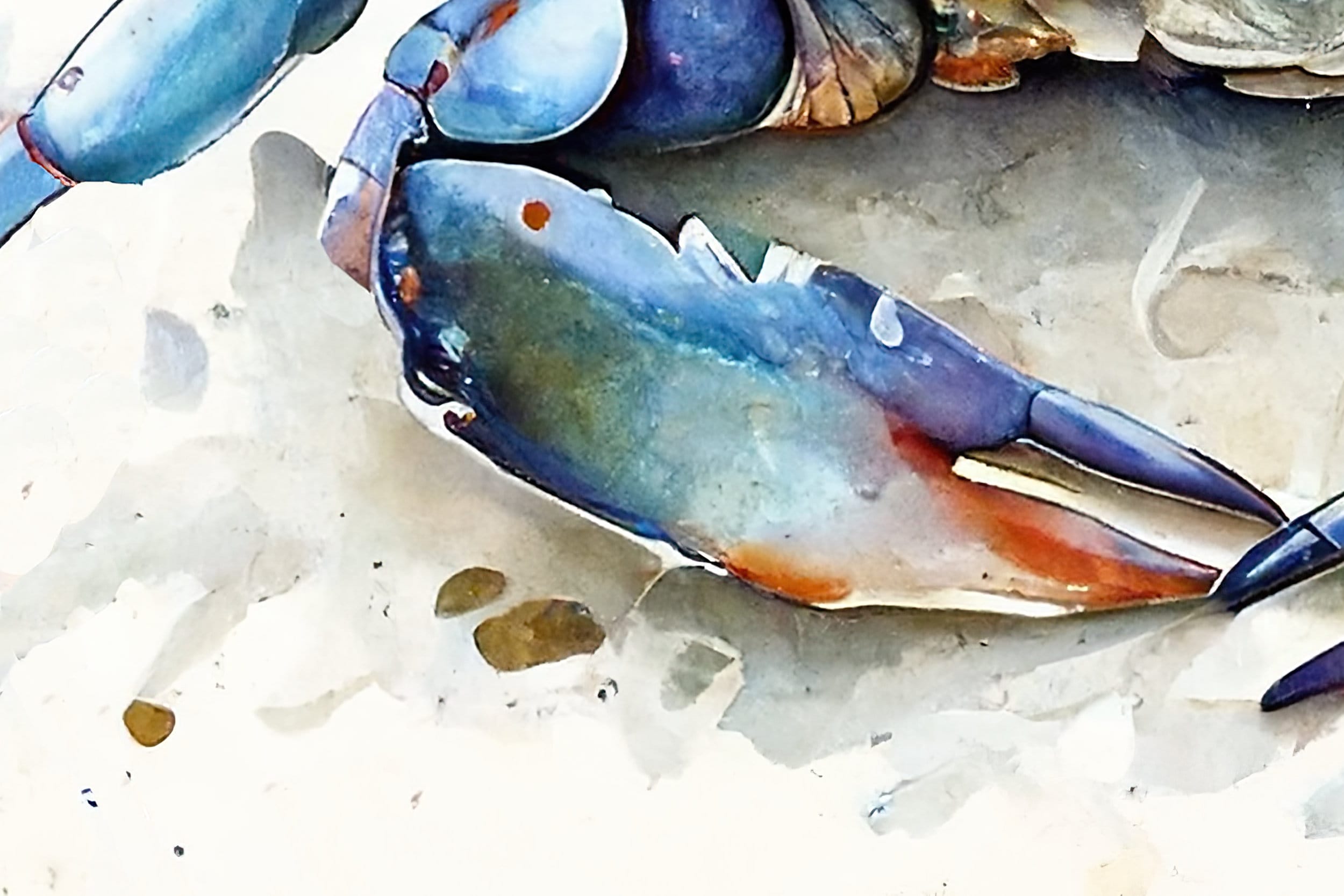 Coastal Wall Art, Nautical, Blue Crab Watercolor, Marine Life ...