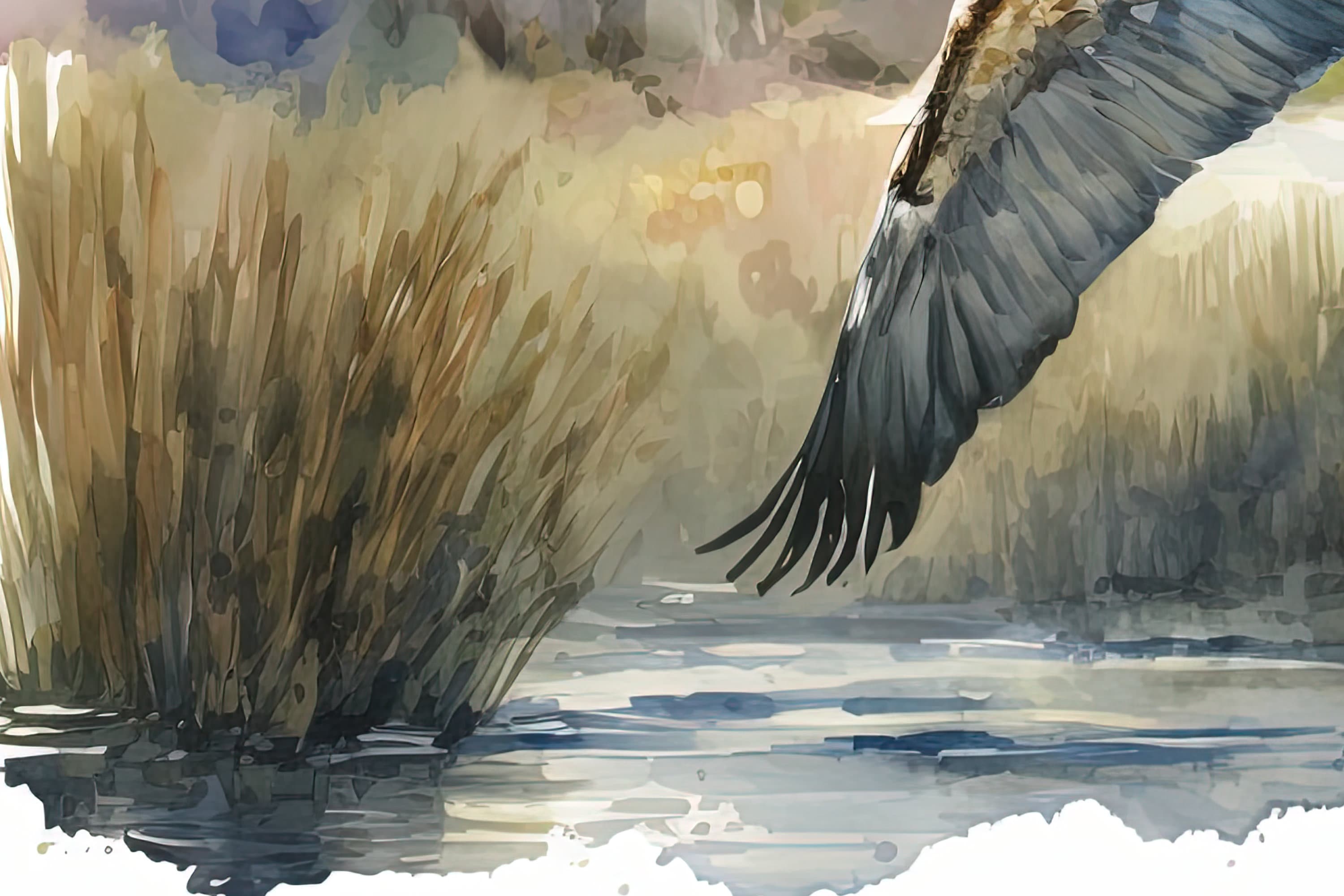 Watercolor, Pelican, Coastal Art, Bayou, Louisiana Wall Art, Coastal ...