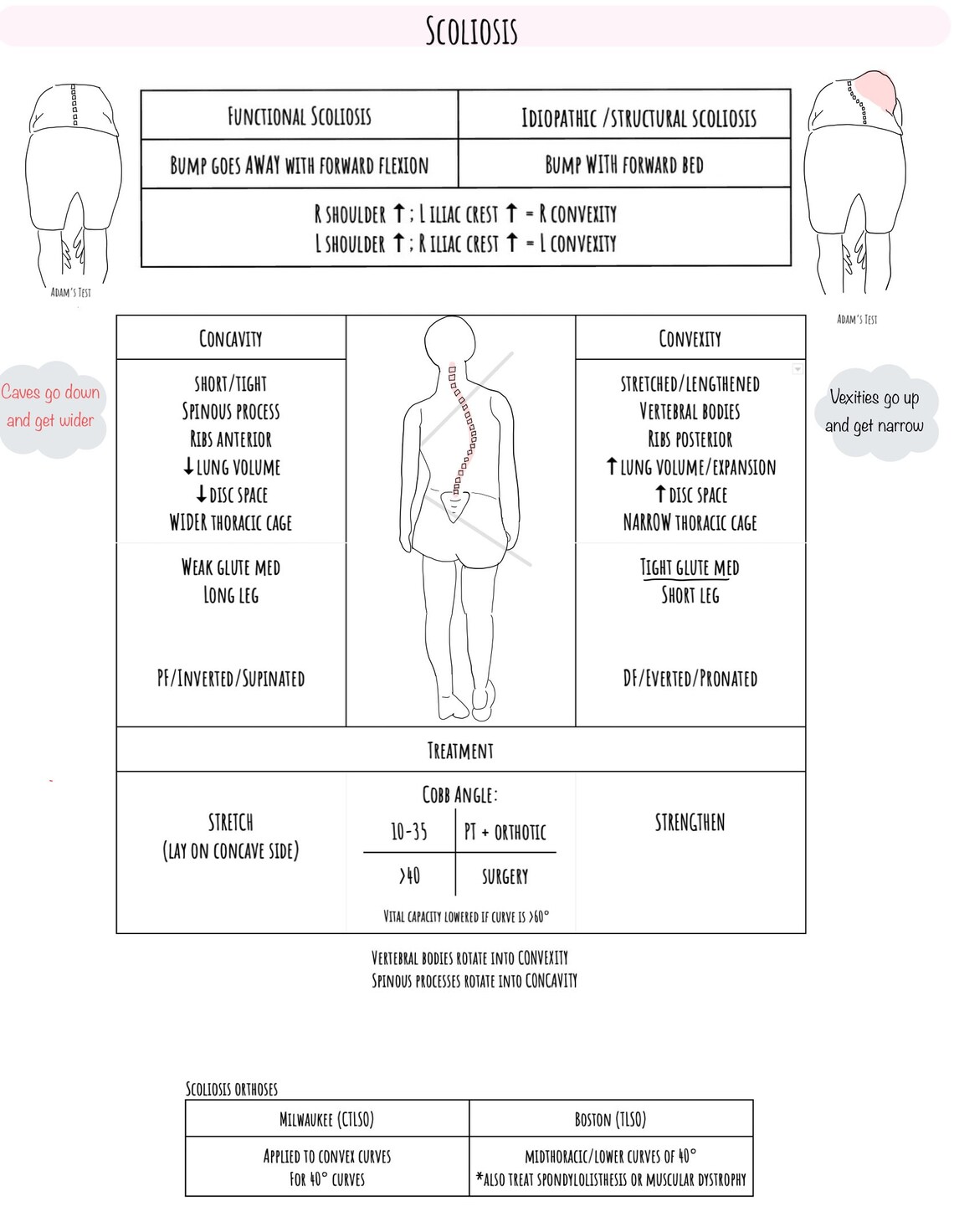 SPT Charts | PT School Study Notes | NPTE Exam Prep | Instant Download ...