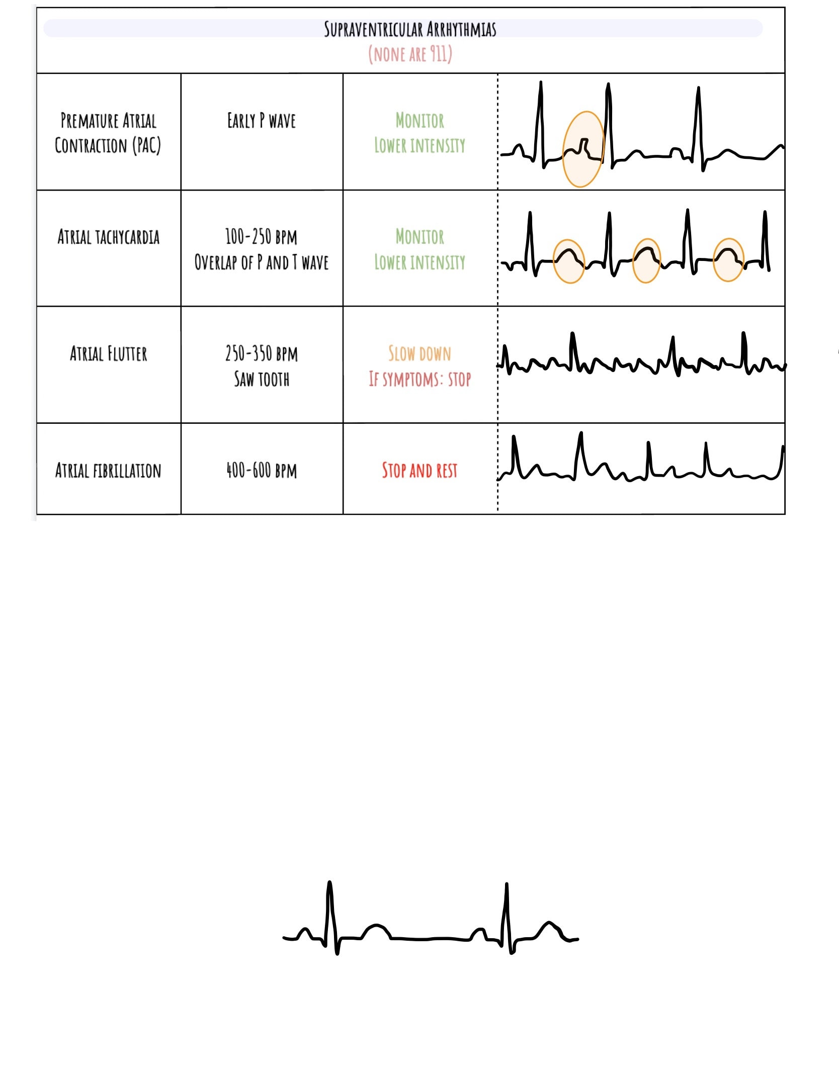 SPT Charts Full Study Bundle - Etsy