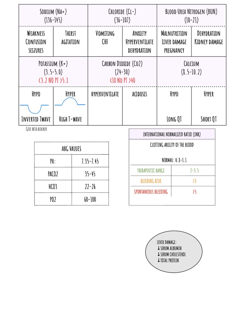 SPT Charts | PT School Study Notes | NPTE Exam Prep | Instant Download ...