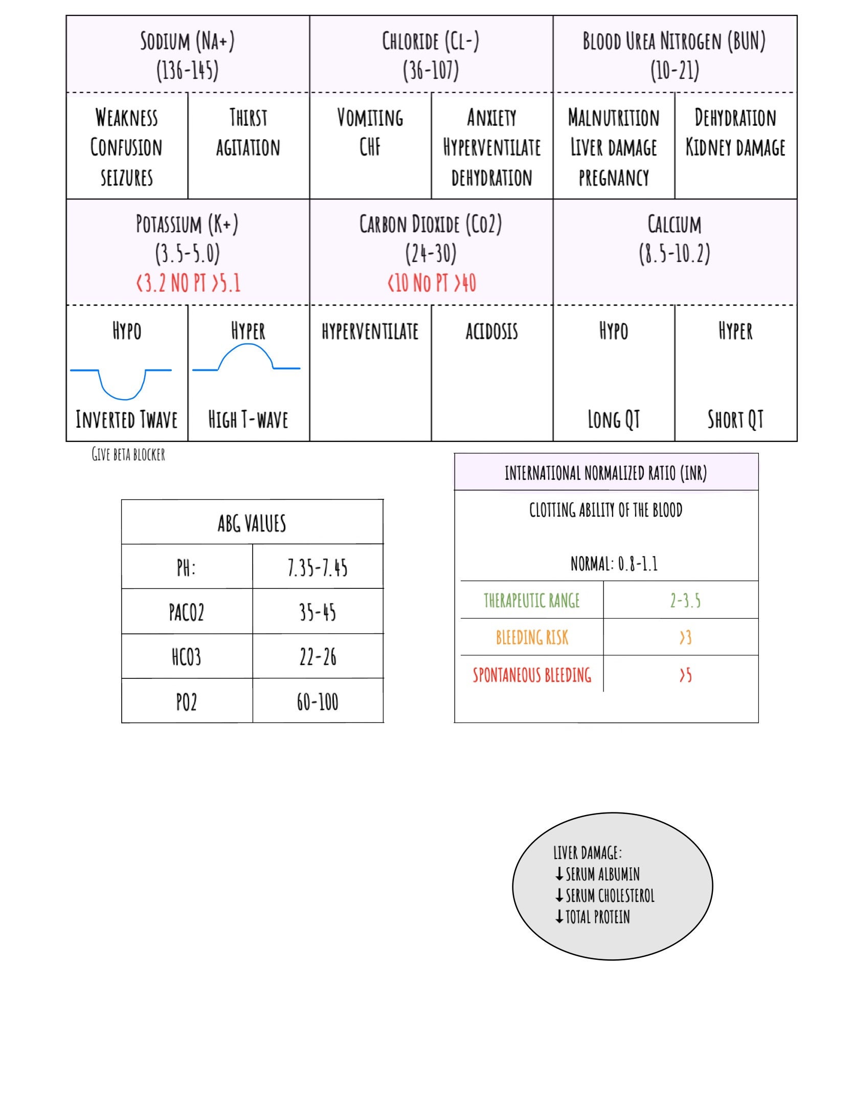 SPT Charts Full Study Bundle - Etsy