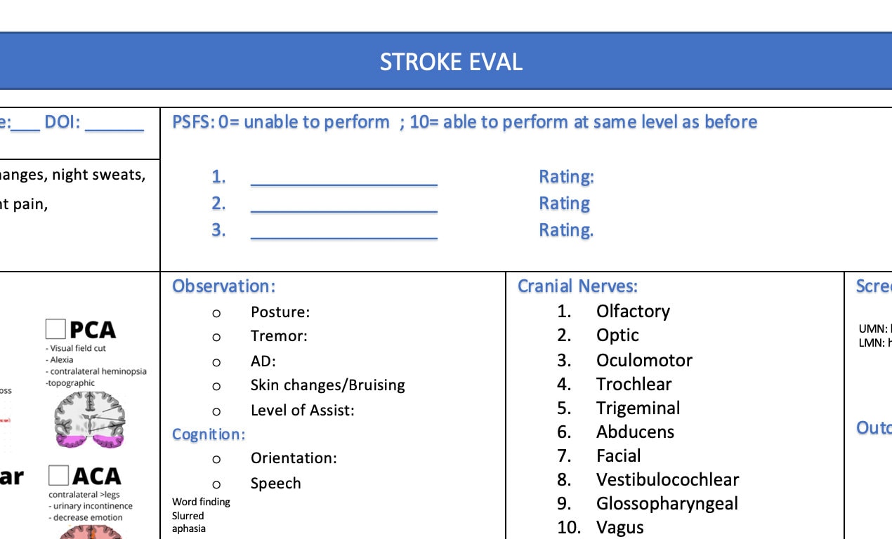 PT Stroke Evaluation Template - Etsy